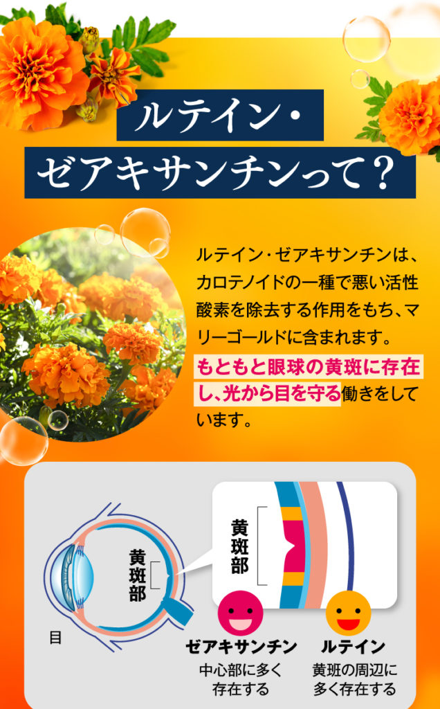 With-EBAのアイケアサプリ – にんにくサプリを販売する健康食品通販「SODATE【公式】」 | にんにくサプリをお探しなら